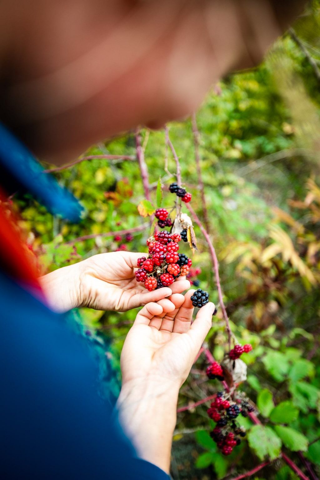 Kleines Land, große Vielfalt - Wandern in Aserbaidschan - Fräulein Draussen