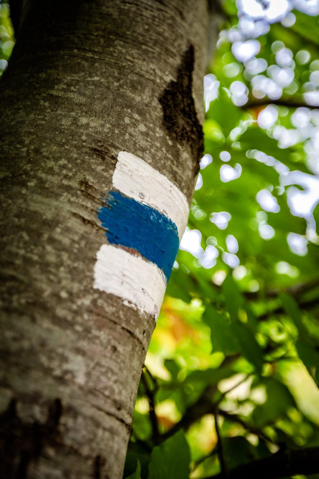 Kleines Land, große Vielfalt - Wandern in Aserbaidschan - Fräulein Draussen