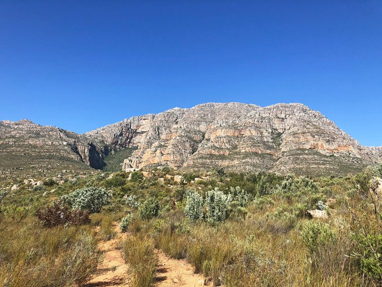 Wanderparadies in Südafrika: Die Cederberge - Fräulein Draussen