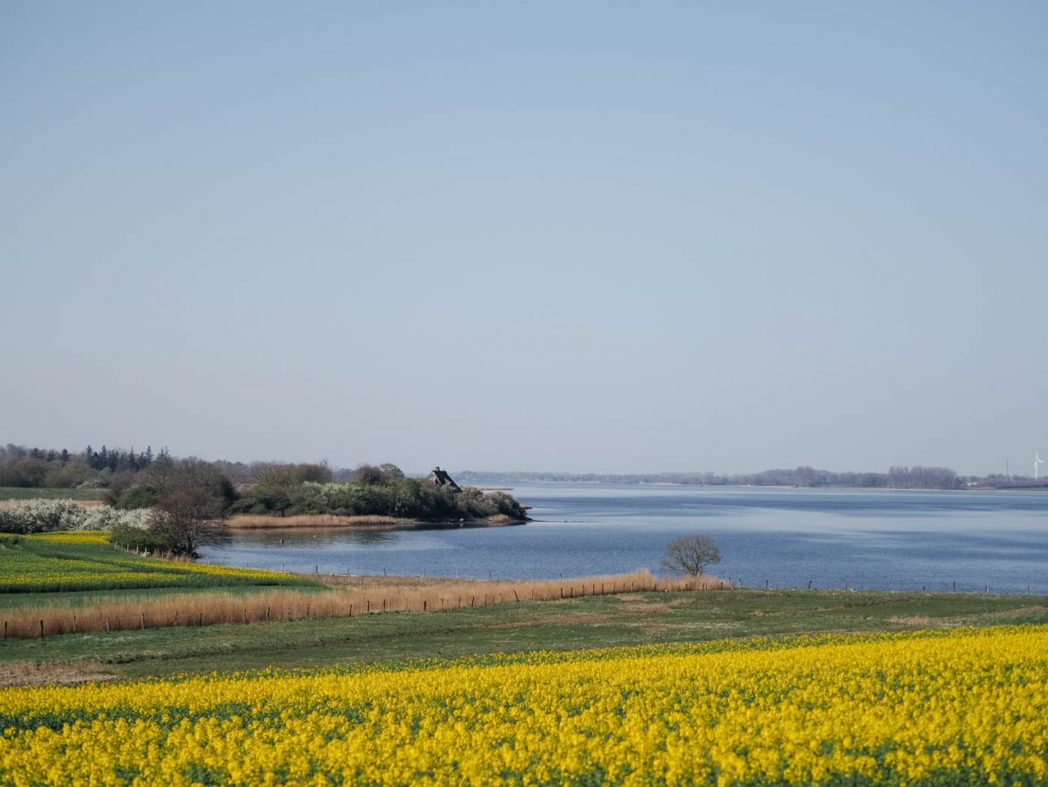 Wandern an der Schlei: Tourentipps rund um den Ostseefjord - Fräulein ...