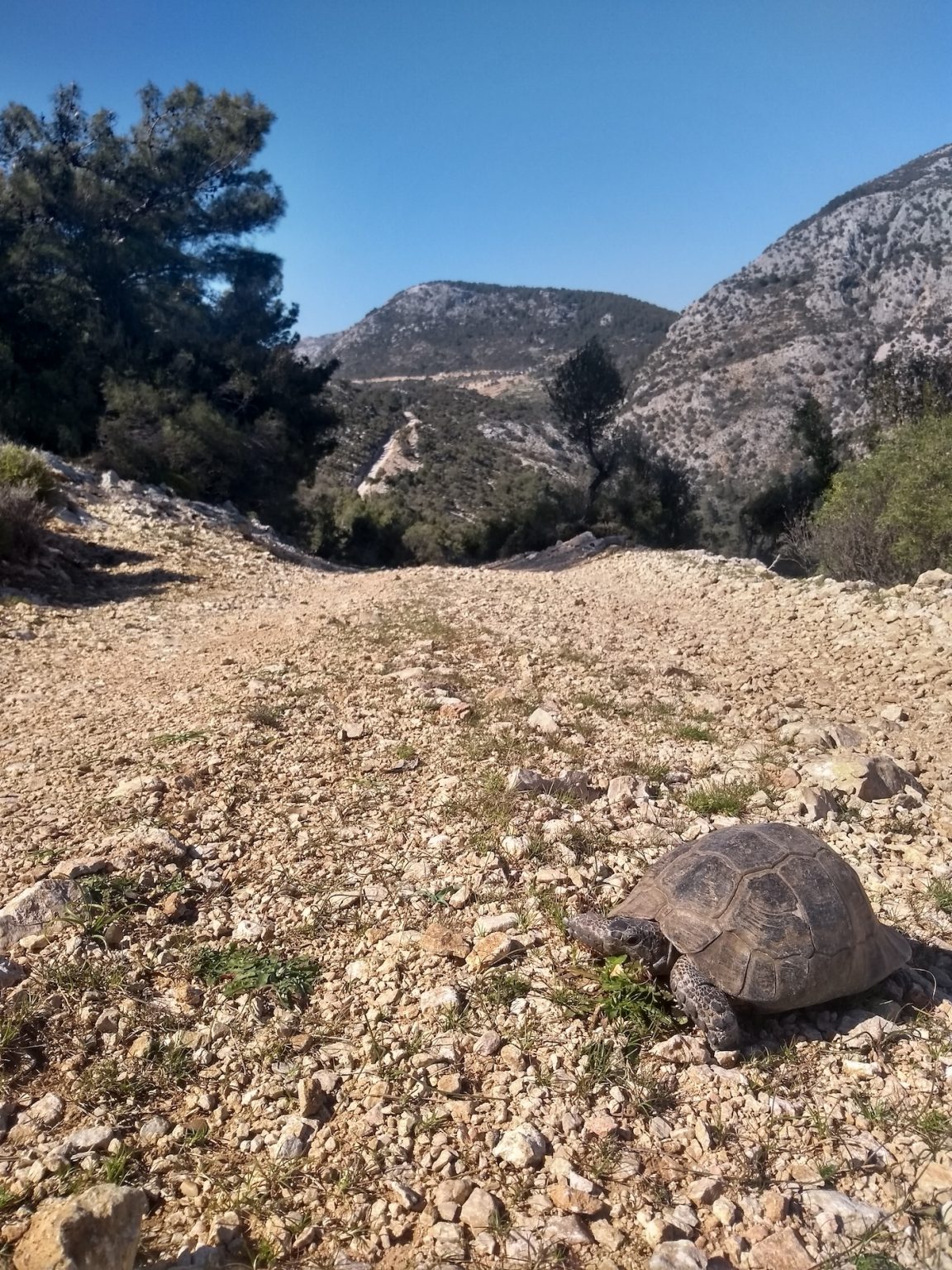 Weitwandern in der Türkei: Lykischer Weg - Fräulein Draussen