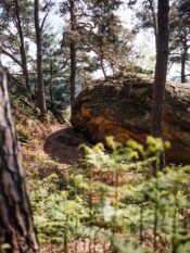 Hermannsweg: in 8 Etappen durch den Teutoburger Wald - Fräulein Draussen