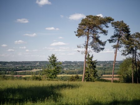 Hermannsweg: in 8 Etappen durch den Teutoburger Wald - Fräulein Draussen