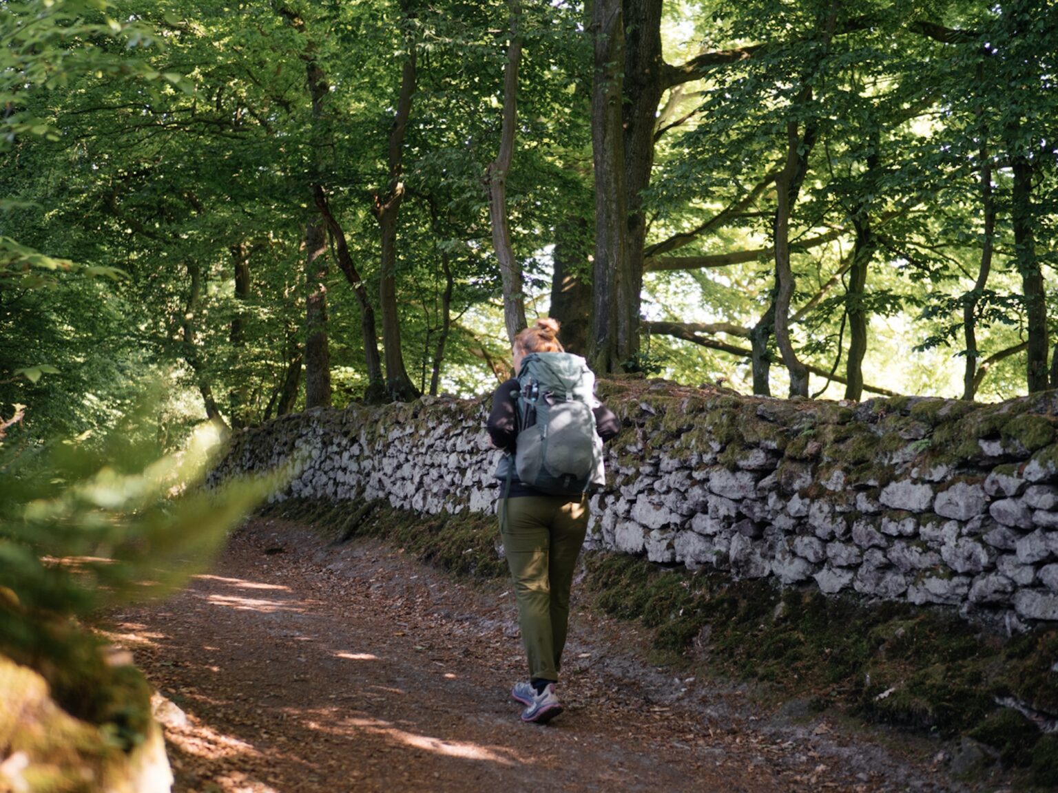 Hermannsweg: in 8 Etappen durch den Teutoburger Wald - Fräulein Draussen