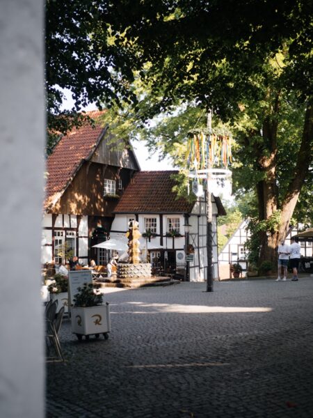 Hermannsweg: in 8 Etappen durch den Teutoburger Wald - Fräulein Draussen