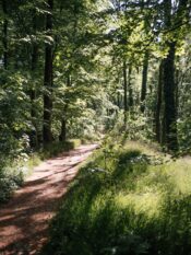 Hermannsweg: in 8 Etappen durch den Teutoburger Wald - Fräulein Draussen