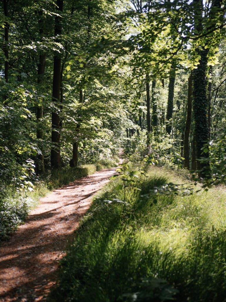 Hermannsweg: in 8 Etappen durch den Teutoburger Wald - Fräulein Draussen