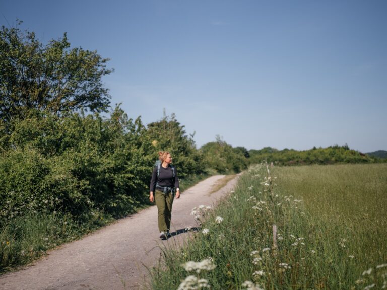 Hermannsweg: in 8 Etappen durch den Teutoburger Wald - Fräulein Draussen