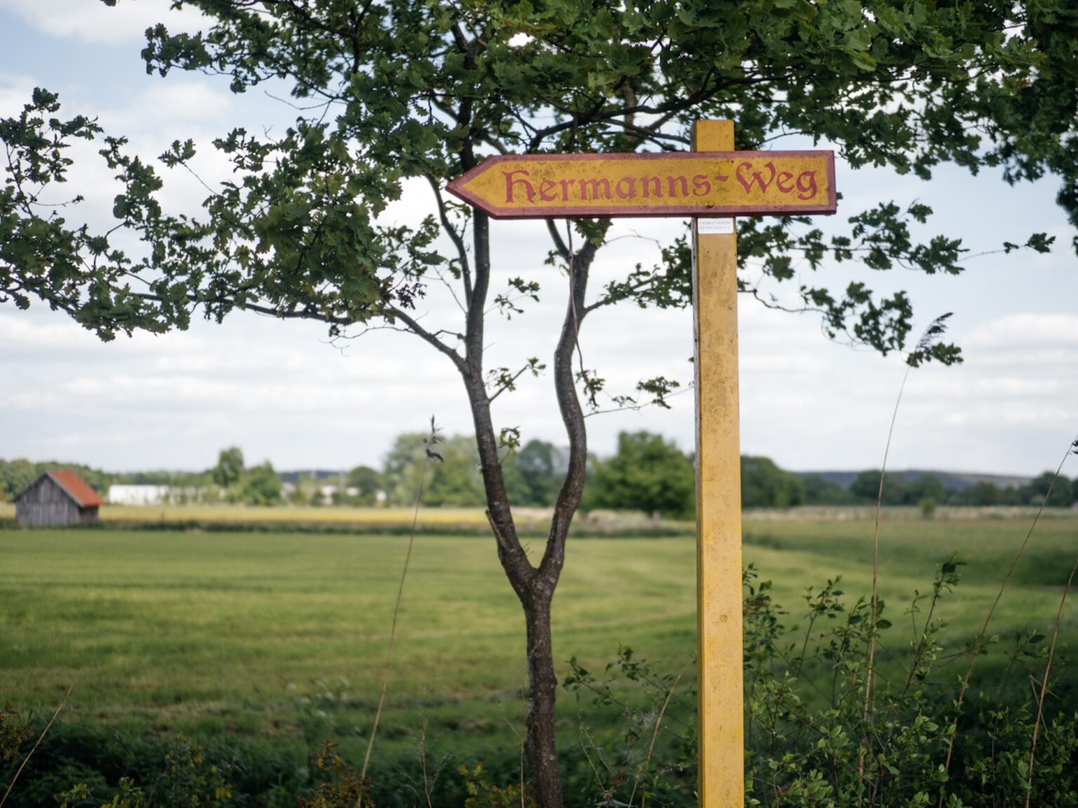Hermannsweg: in 8 Etappen durch den Teutoburger Wald - Fräulein Draussen