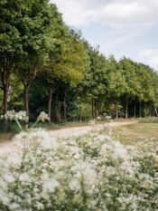 Hermannsweg: in 8 Etappen durch den Teutoburger Wald - Fräulein Draussen