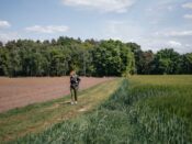 Hermannsweg: in 8 Etappen durch den Teutoburger Wald - Fräulein Draussen